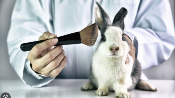 Petition · Ban animal testing - United States · Change.org