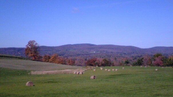 Petition · Increase Frontage Requirement for Newly Created Building ...