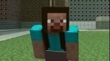 Petition · Should minecraft steve change genders · Change.org