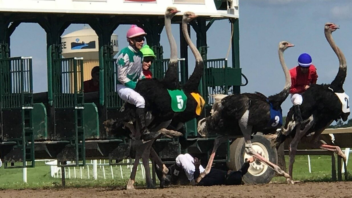Petition · End Extreme Race Day at Canterbury Park in Minnesota ...