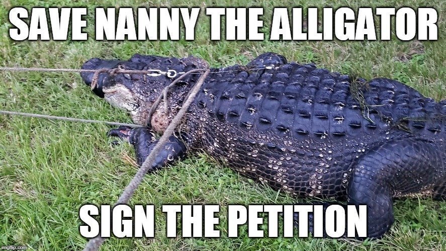 Petition · Save Nanny the Alligator - United States · Change.org