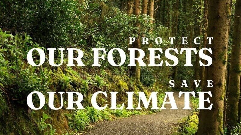 Petition · Protect Our Forests: Stop Deforestation Now! - Pasig ...