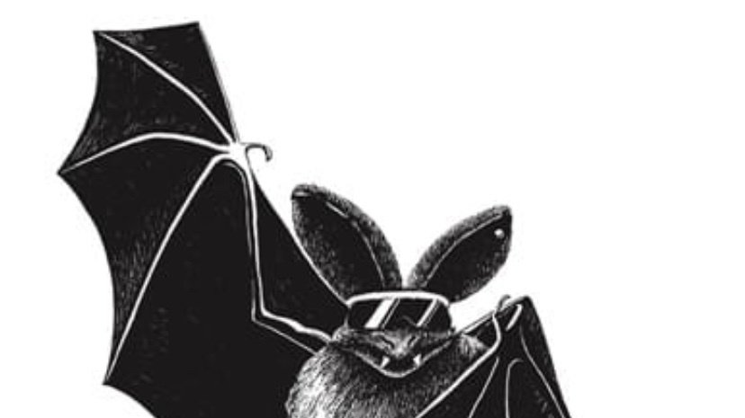 Petition · Bring back the 3rd grade Bat Dance! - United States · Change.org