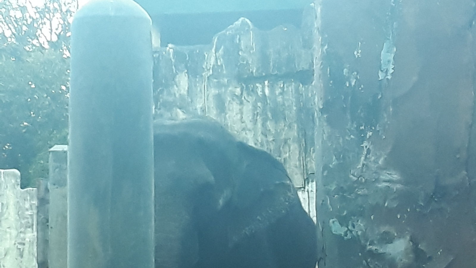 Petition · Save The Animals of Manila Zoo! - Philippines · Change.org