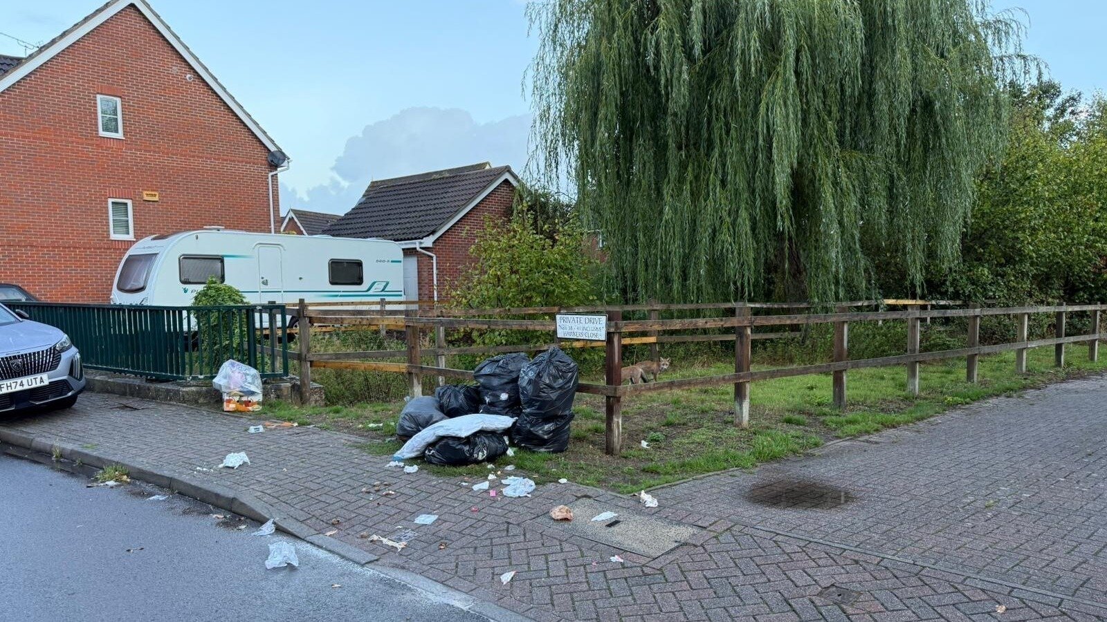 Petition · Stop Feeding Foxes in Residential Areas of Hawkers Close ...