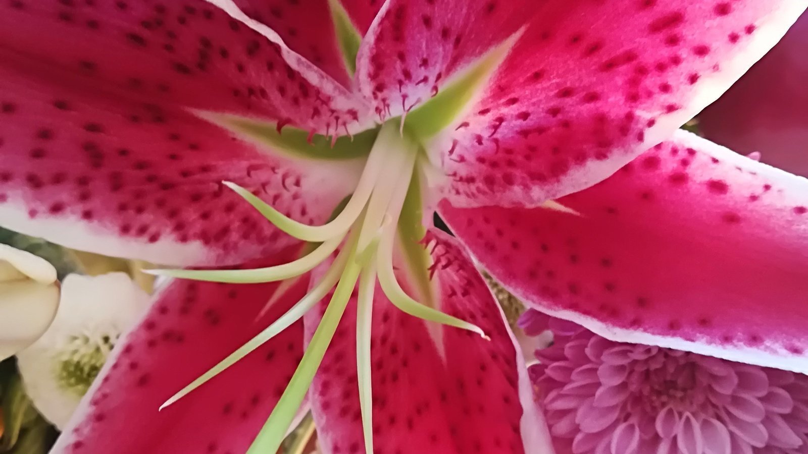 Petición · Salvar y proteger Selva Viviente - Ecuador · Change.org