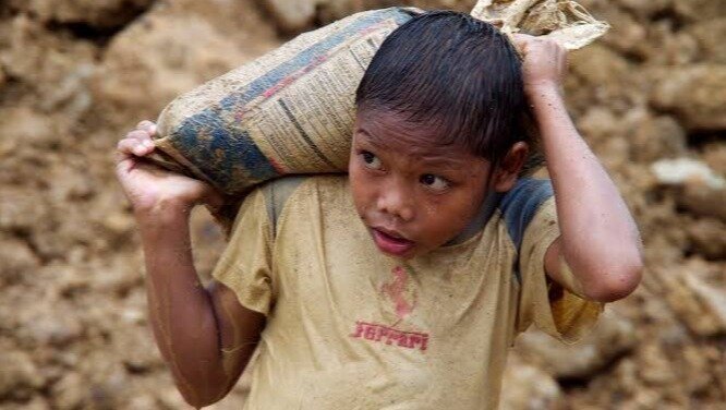 Petition · STOP Child Labor: Protect and Uphold Children's Rights ...