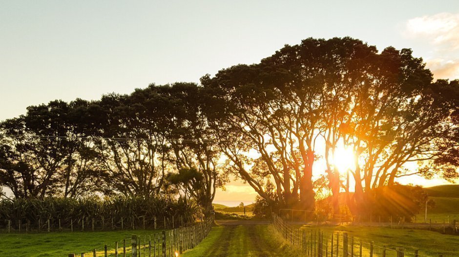 Petition · Stop the Pukekohe Expressway and prevent Pukekohe becoming ...