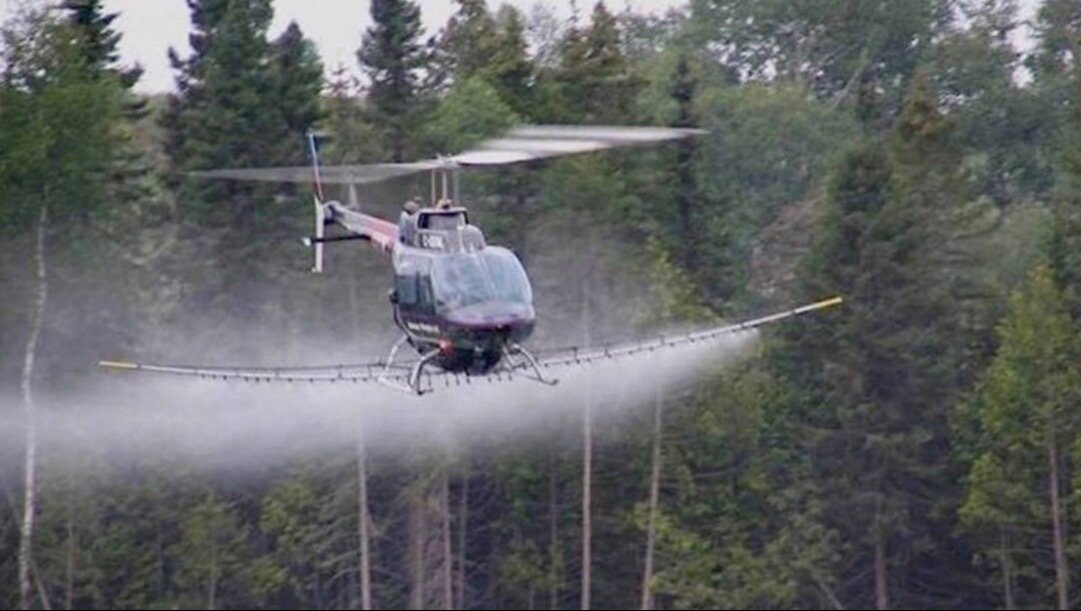 Petition · End Aerial Glyphosate Spraying on All Lands in Canada ...