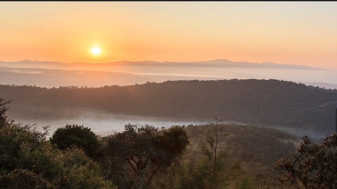 Petición · ALTO a la tala inmoderada de árboles en Zacualtipán, Hidalgo ...