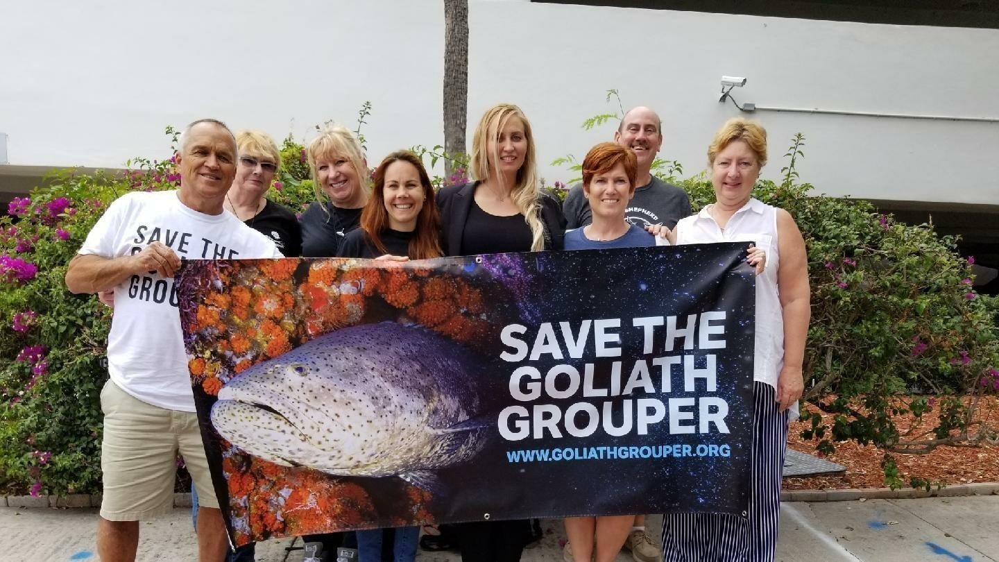Petition update · You Helped Save Goliath Groupers Today! · Change.org ...
