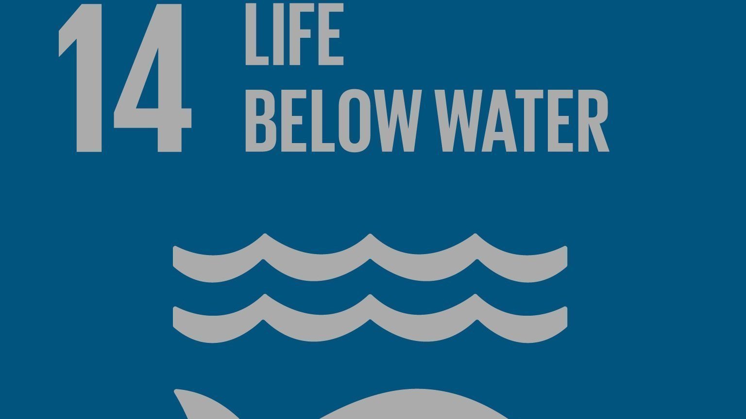 Petition · A healthy ocean keeps us healthy on earth! Safe our oceans ...