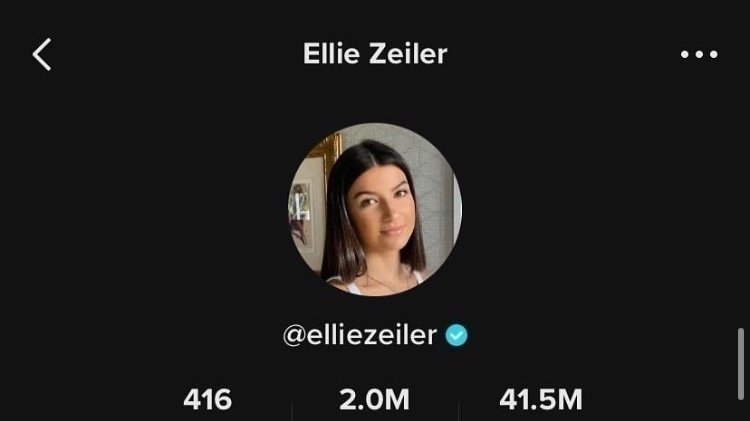 Petition · Revoke Ellie Ziegler’s verification on tiktok - United ...