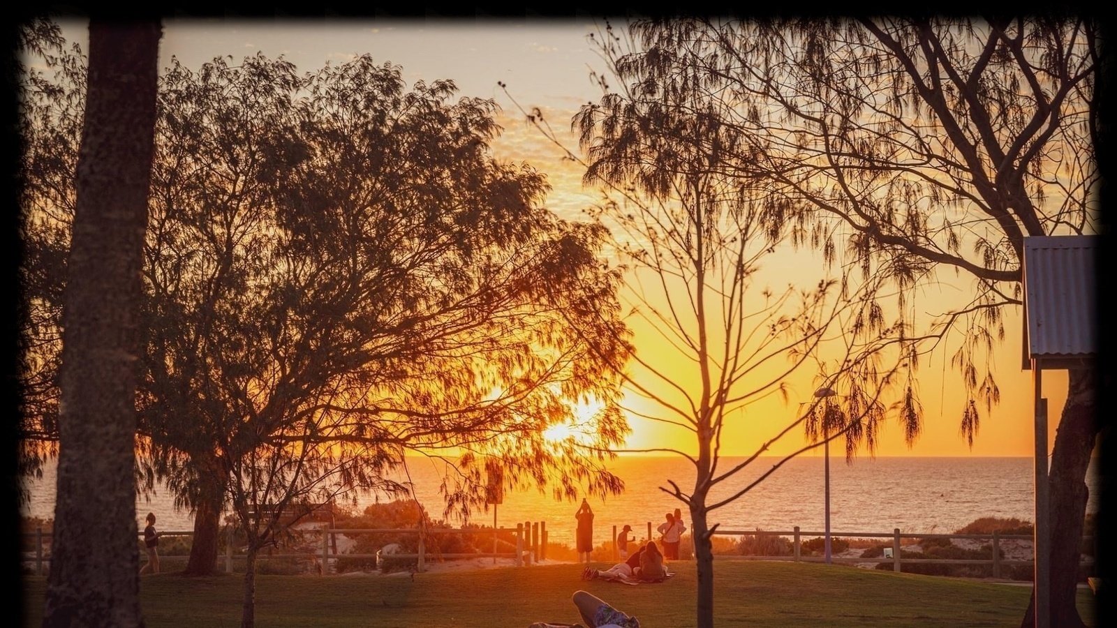 Petition · Revoke the decision to remove this South Trigg Park - Trigg ...