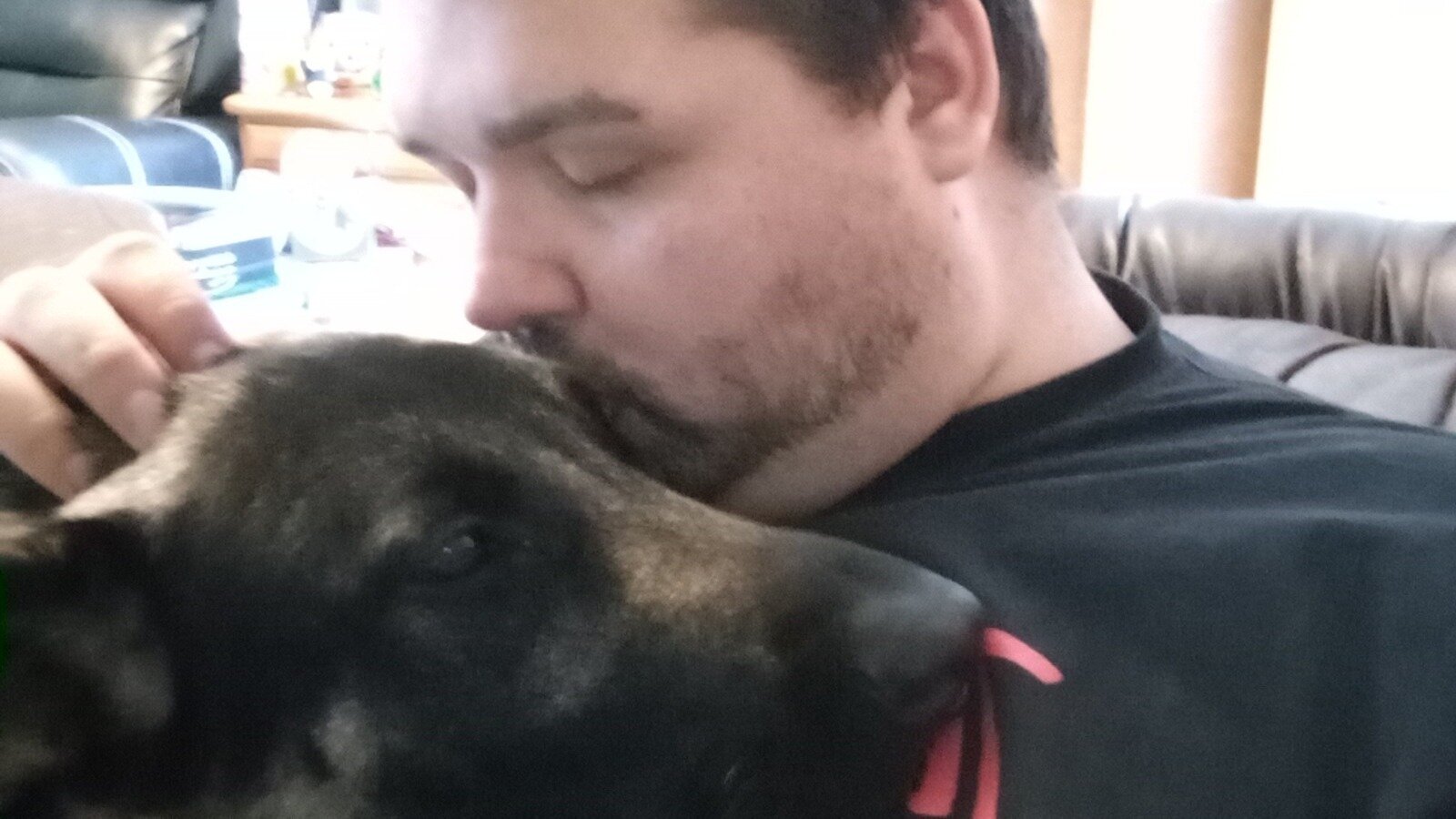 Petition · Save Animals in Cadillac, MI from Harm and Neglect ...