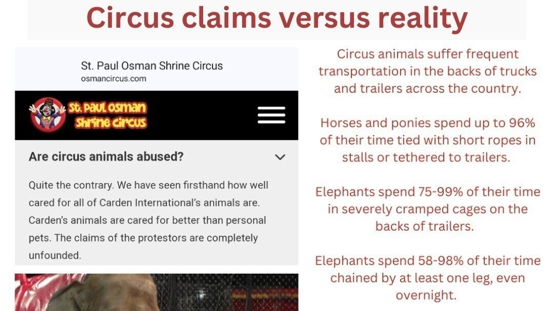 Petition update · Would you do this to your companion animals? · Change.org · Change.org