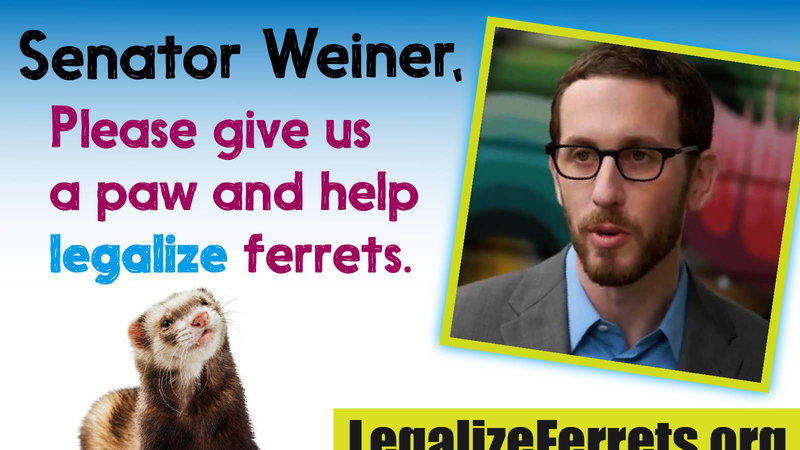 Petition · Senator Scott Weiner: Asking Senator Scott Weiner to Help ...