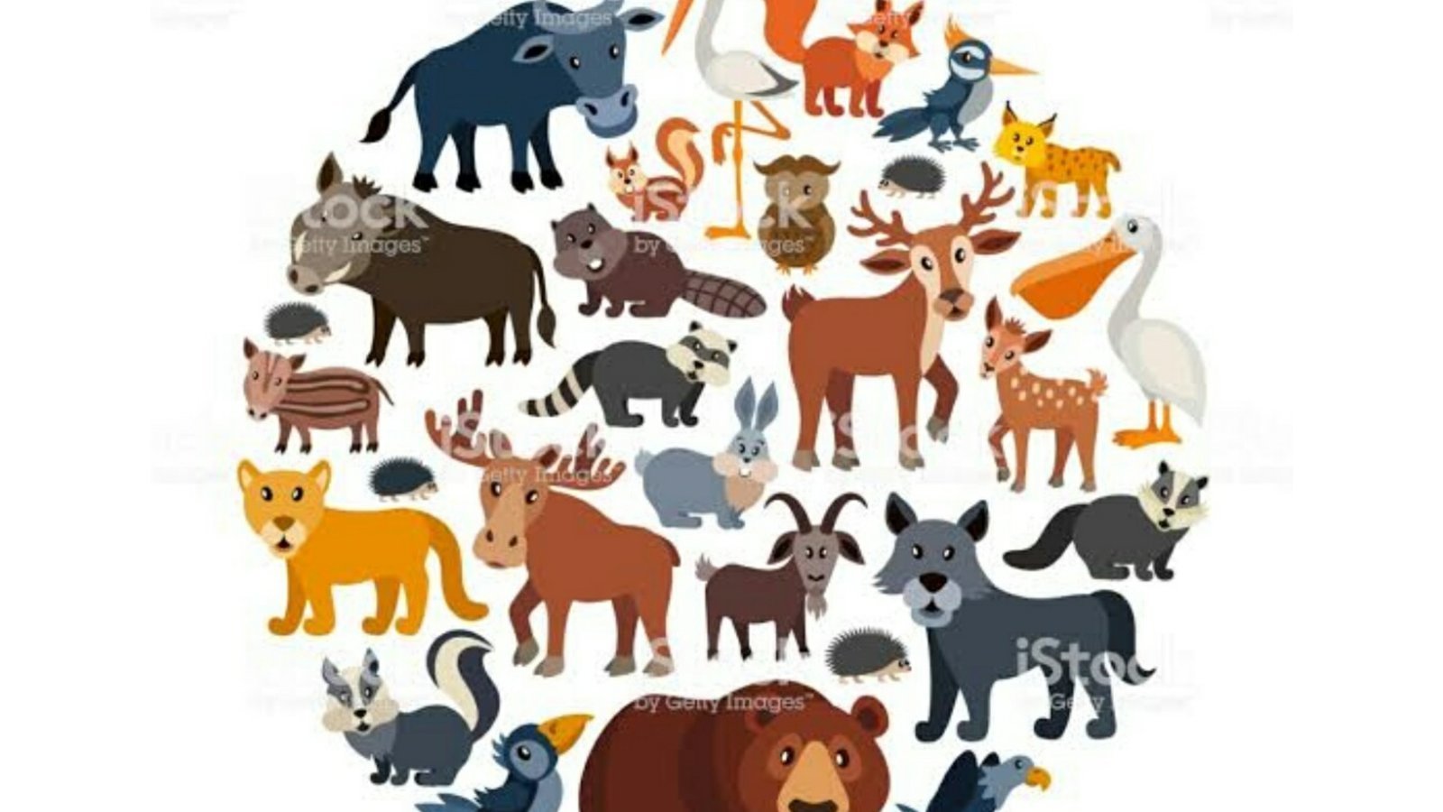 Petition · we need to save the animals - India · Change.org