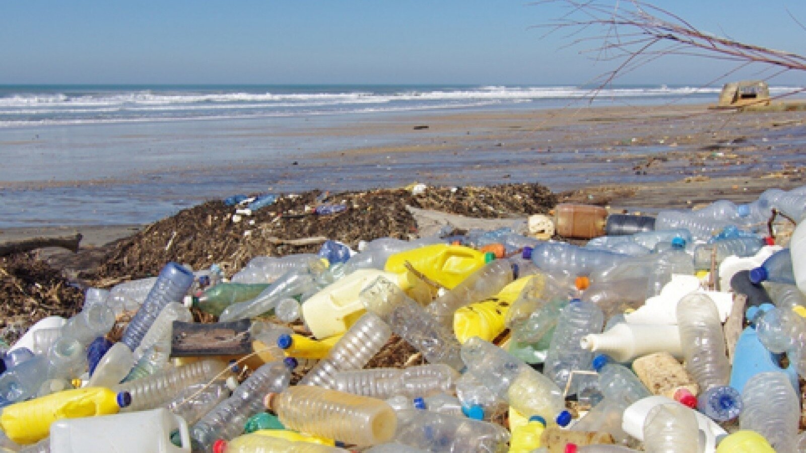 Petition · Clean Beaches, Healthy Oceans: Stop the Trash, Save Our Seas ...