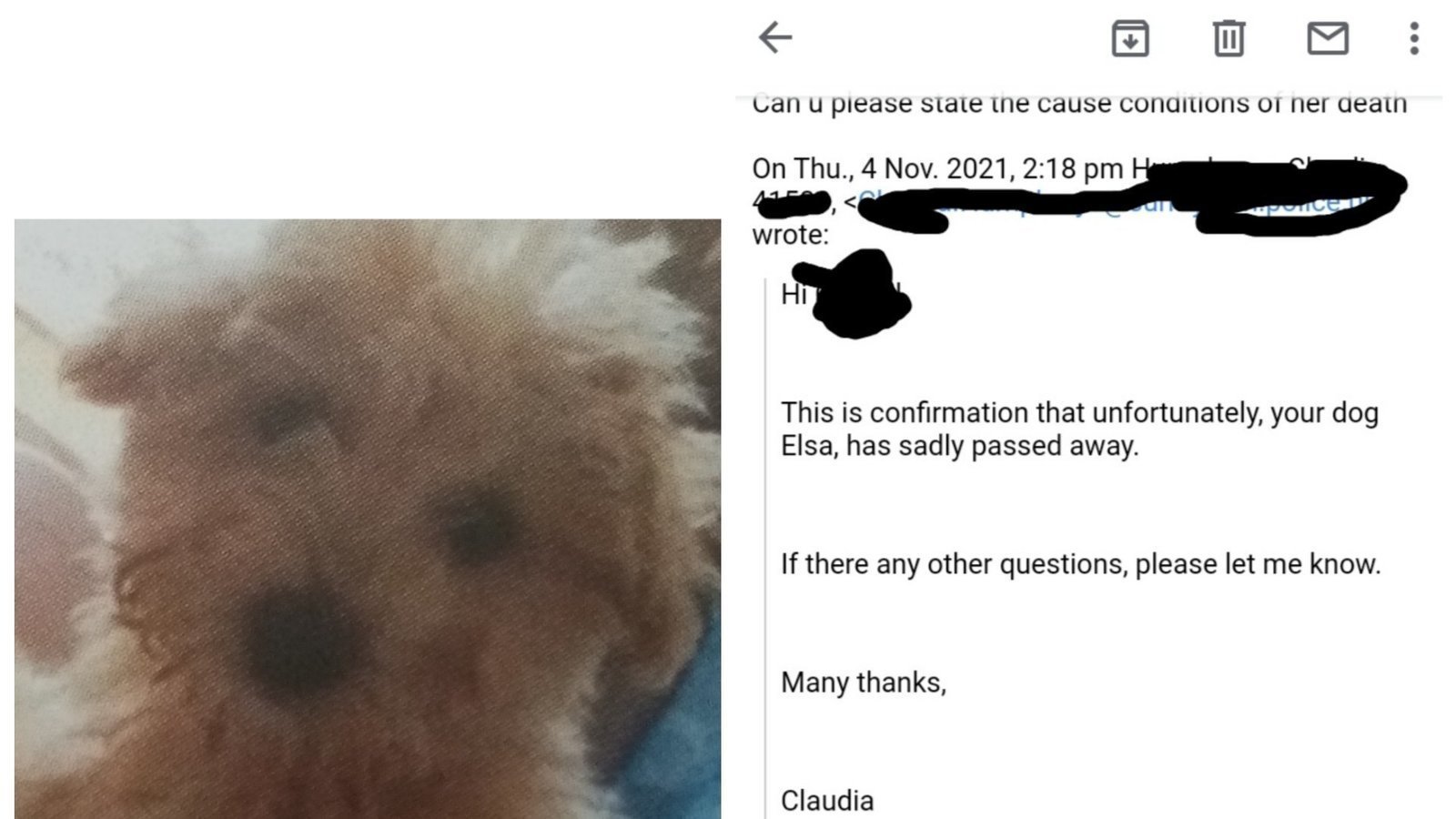 Petition · Elsa died after 6 months in police care now let the other ...