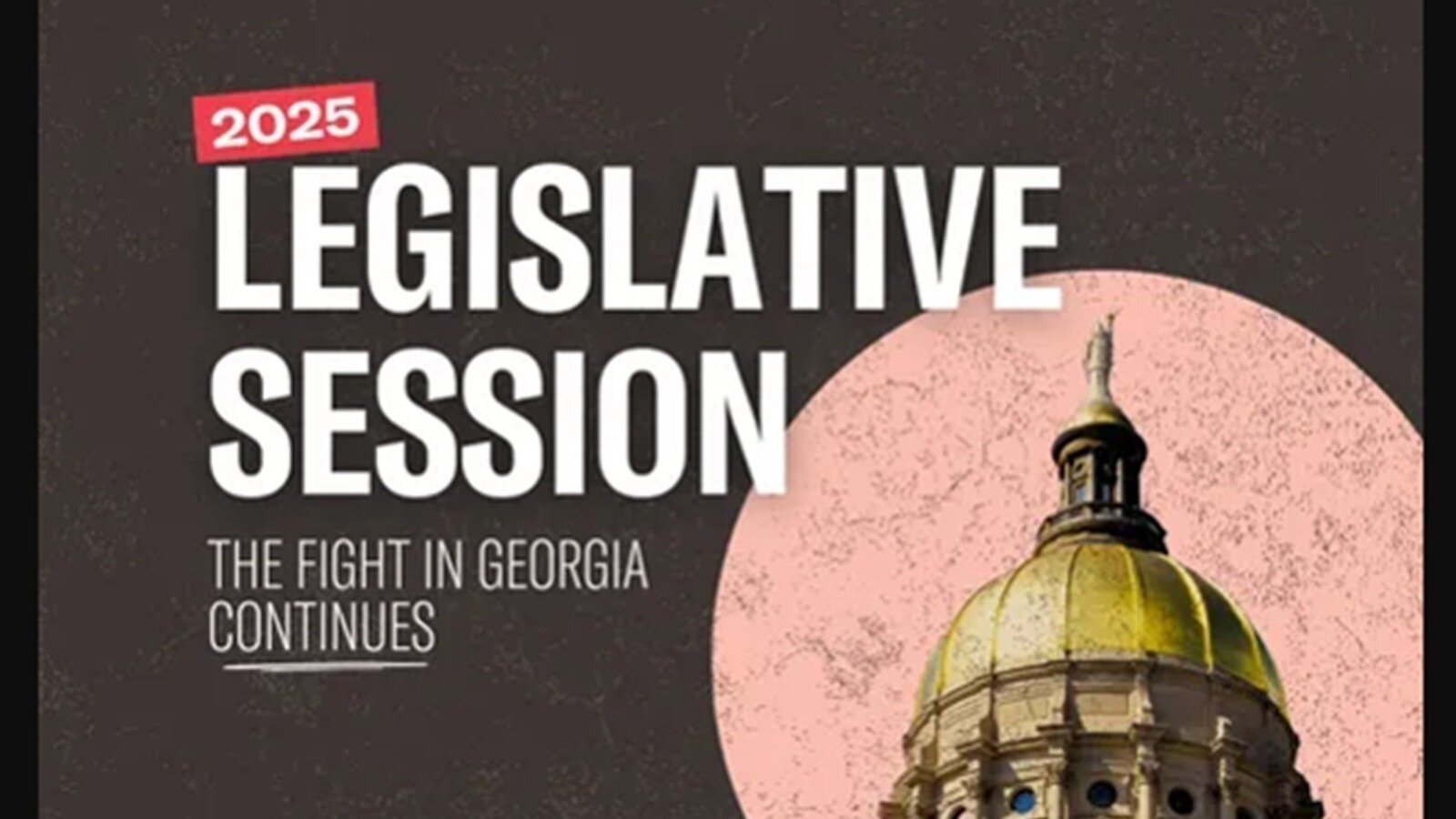 Petition · In 2026, urge the GA Senate to pass SB 303 protect your vote ...