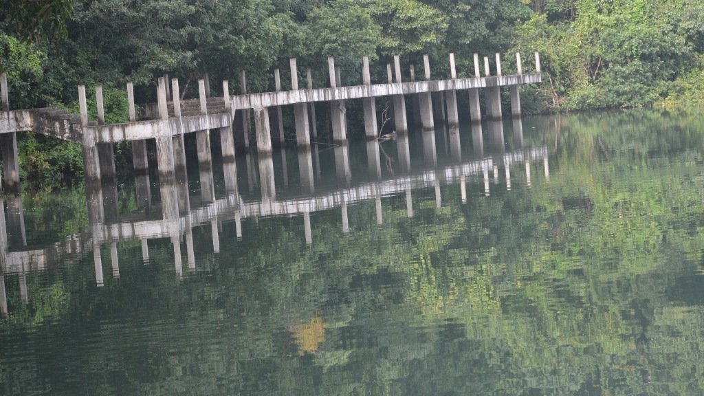 Petition · Declare Dhamapur Lake as Wetland & Ramsar Site - India ...