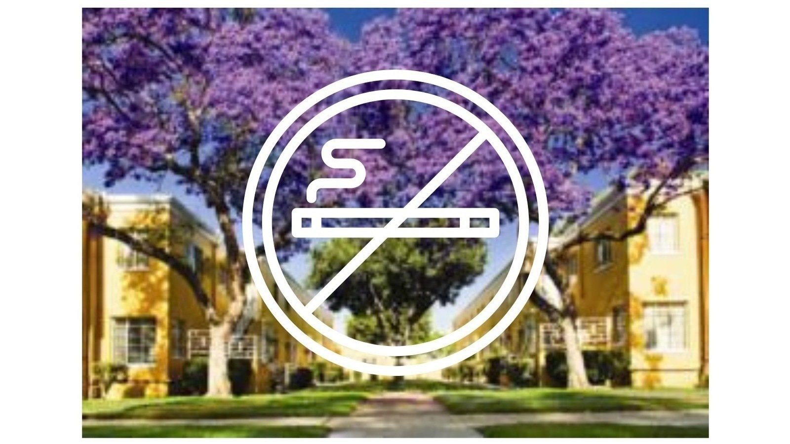 Petition · Ban Smoking in Park La Brea Parks - United States · Change.org