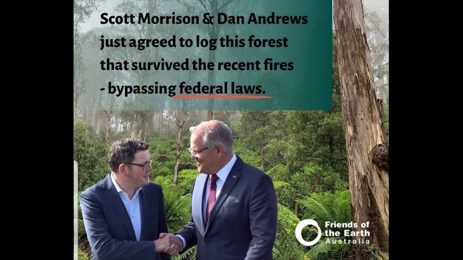 Petition · Stop logging of native forests, protect our environment and ...