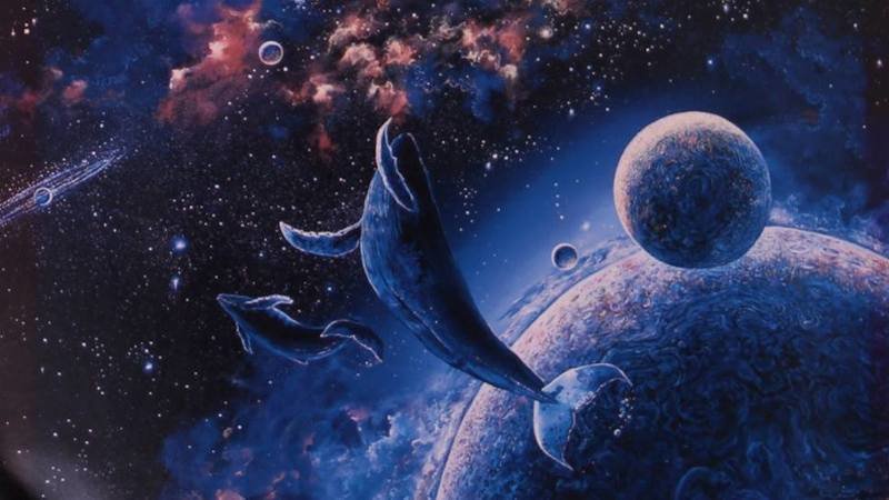 Petition · NASA: Send Whales into Space · Change.org