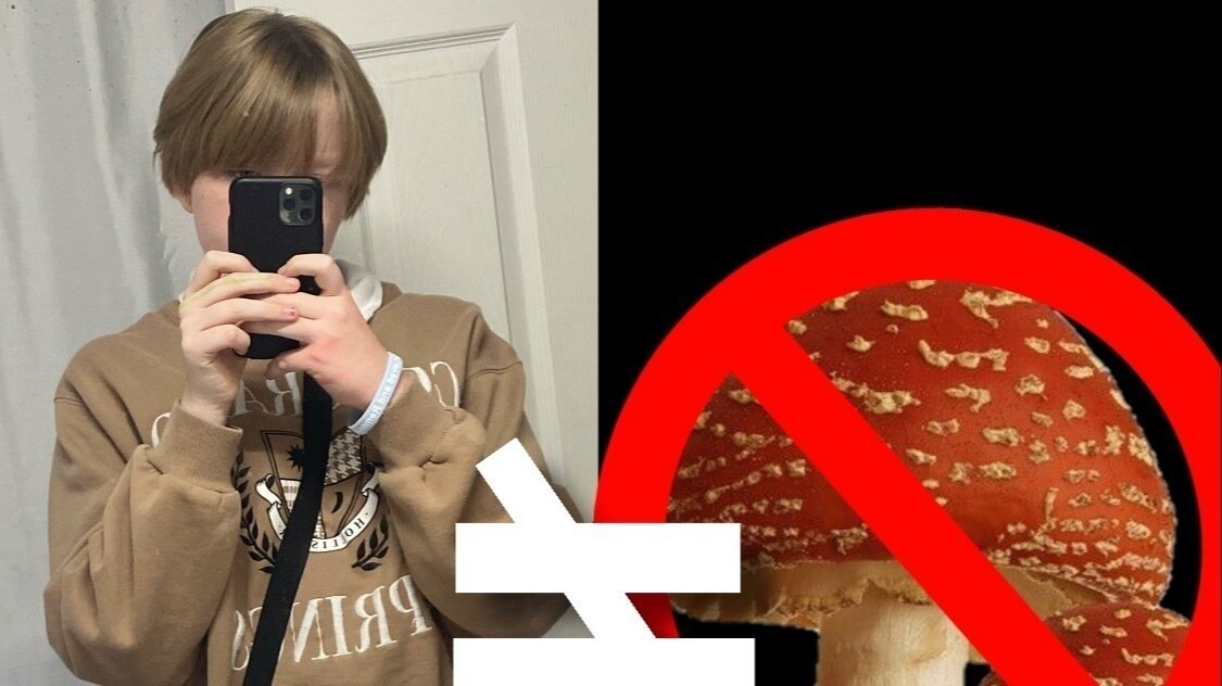 Petition · stop alex dixon harassment - United States · Change.org