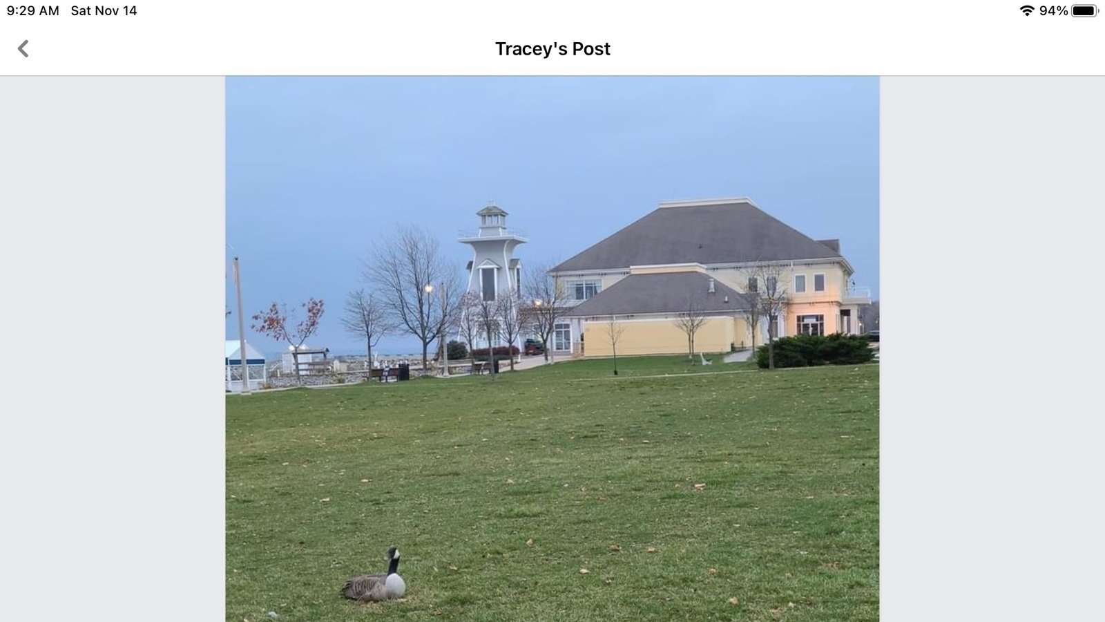 Petition · Injured Goose with broken leg in Bronte Oakville cannot ...