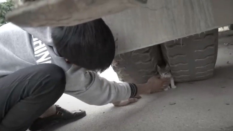 Petition · Tell YouTube to Take Down Fake Animal Rescue Channels ...