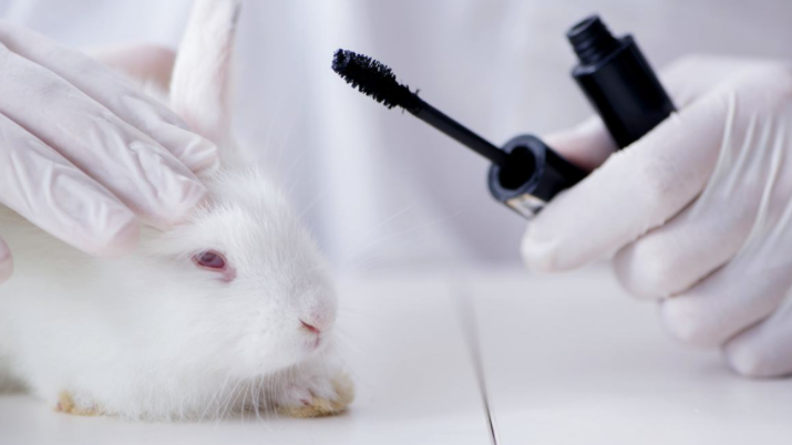 Petition · Greater transparency on labels regarding animal testing ...