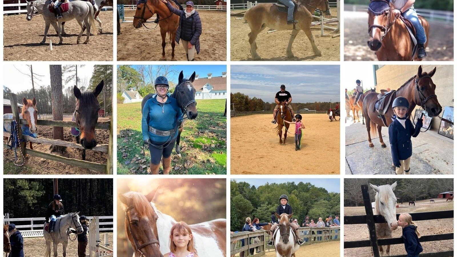 Petition · Exempt Horseback Riding Lesson Facilities from Maryland ...