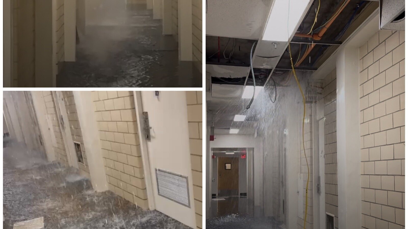 Petition · Faulty Pipes not Faulty Students #saverickyandbruce - United ...