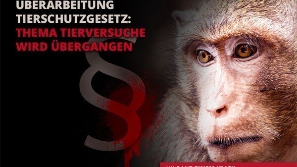 Petition update · Bitte macht mit bei der E-mail-Aktion der "Ärzte ...