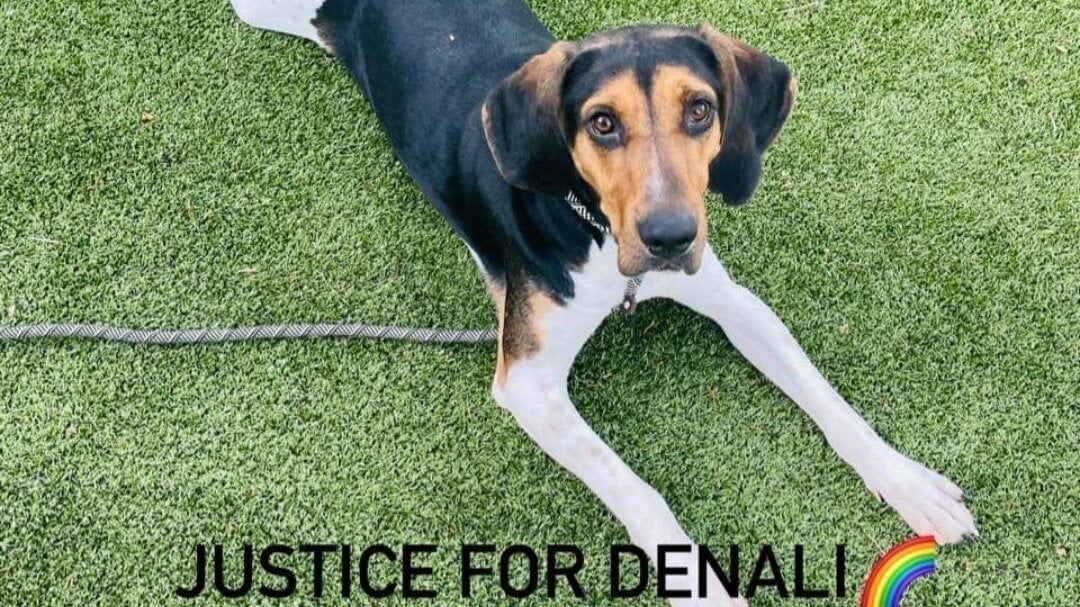 Petition · Demand Maximum Punishment for David Saxton in Justice for ...
