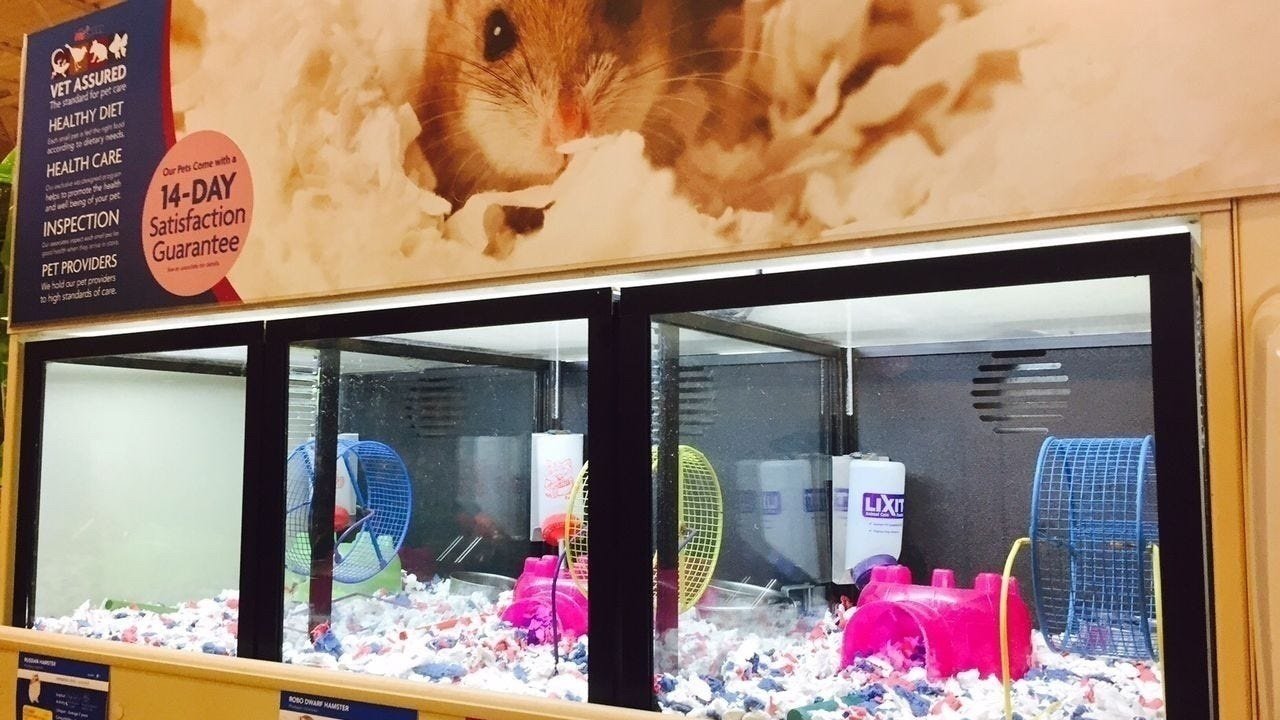 Petition · Make Pet Stores Give People Proper Animal Care Guidelines ...