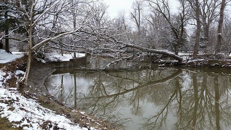 Petition · Troy Schinzel, Erie County Parks Commissioner: Lancaster ...