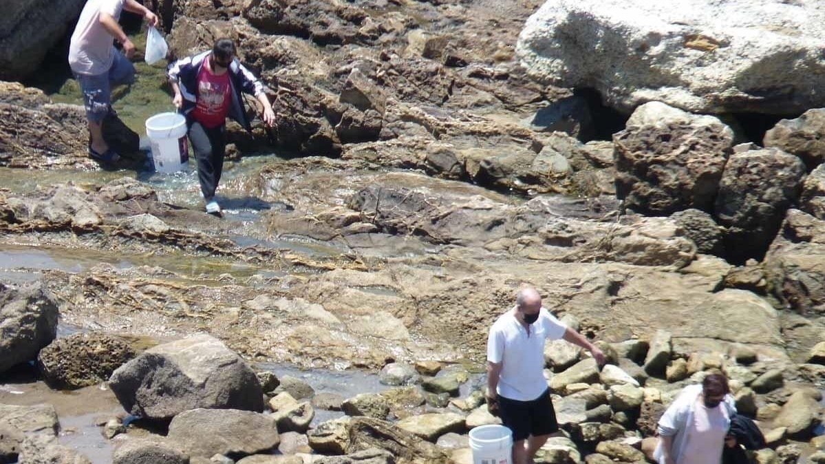 Petition · Protect our Tide Pools Now! - United States · Change.org