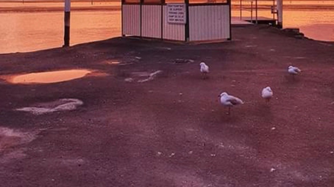 Petition · Restoration of Lintern St boat ramp and wharf at Davistown ...