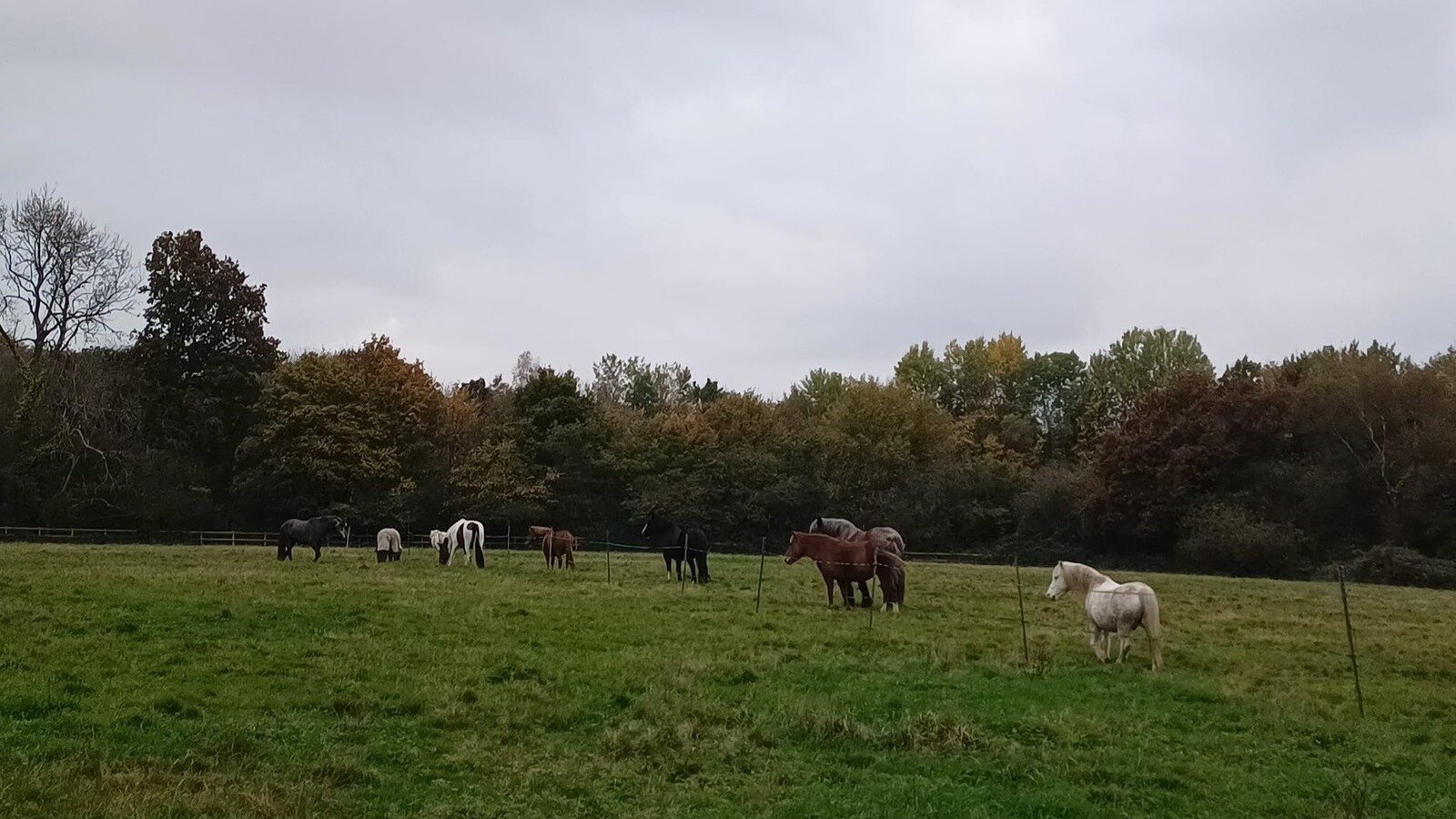 Petition · Oppose Eastleigh Borough Council Threat to 50 year old ...