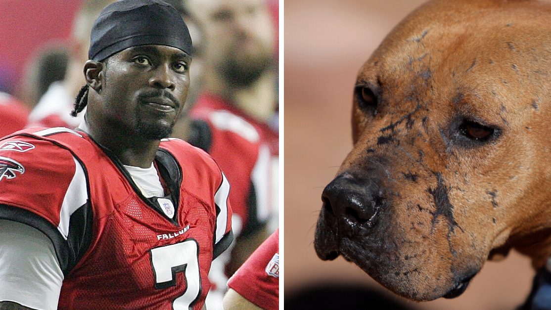 Petition · Demand Disney and Fox remove Michael Vick - United States ...