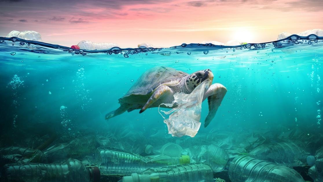 Petition · Saving Ocean Life - United States · Change.org