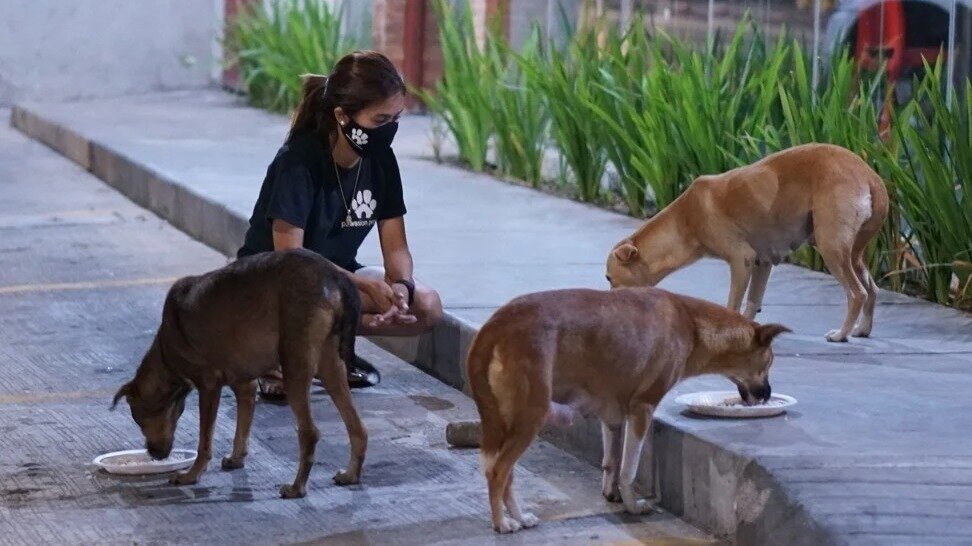 Petition · PAW-SITIBONG ADHIKAIN: Feeding Love, One Bowl at a Time ...