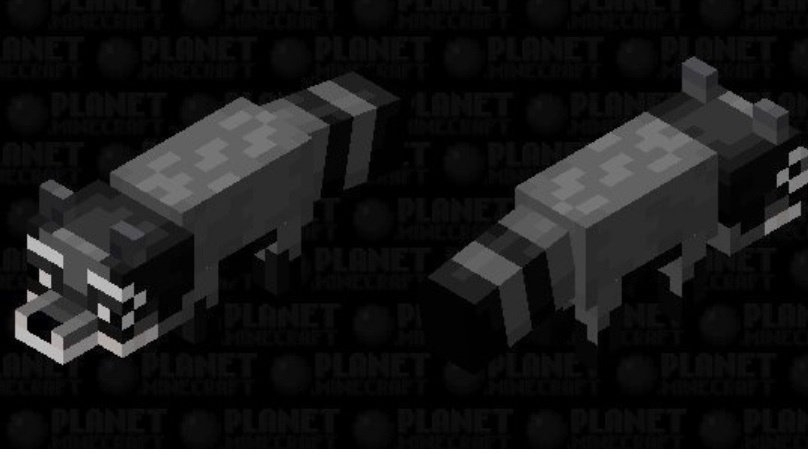 Petition · petition to add raccoons to minecraft - United States ...