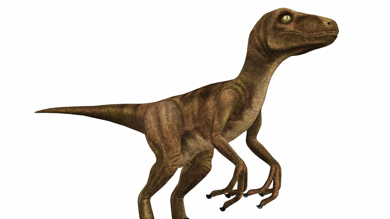 Velociraptor Free Workplace Meaning