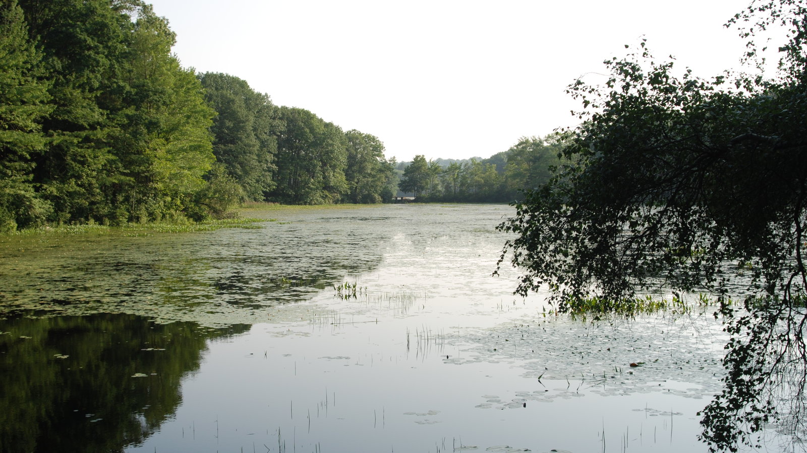 Petition · Stop Merrill Pond System Closures in Sutton - United States ...