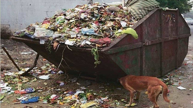 Petition · Regular Collection of Garbage in Cabanatuan City ... Petition · Regular Collection of Garbage in Cabanatuan City ...