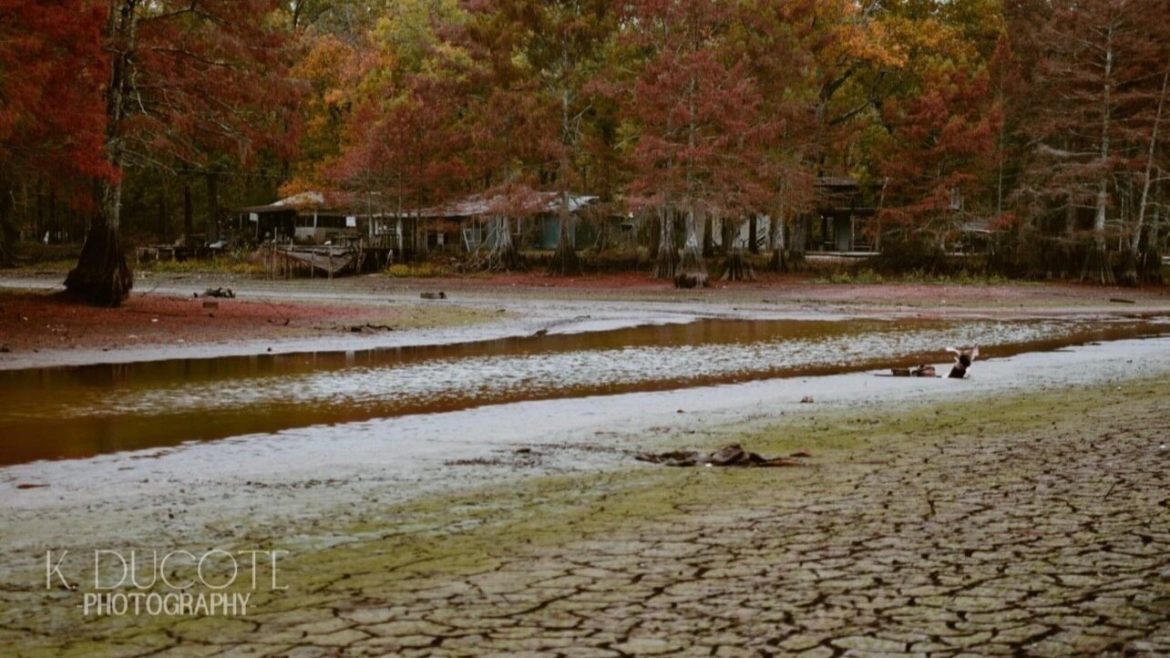 Petition · Stop Spring Bayou draw down “Pumping” - Marksville, United ...